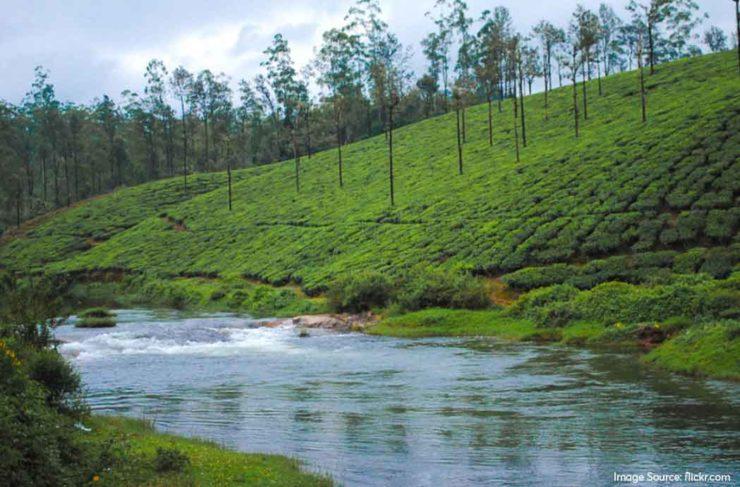 13 Places to Visit in Valparai to Immerse in the Land of Greens ...