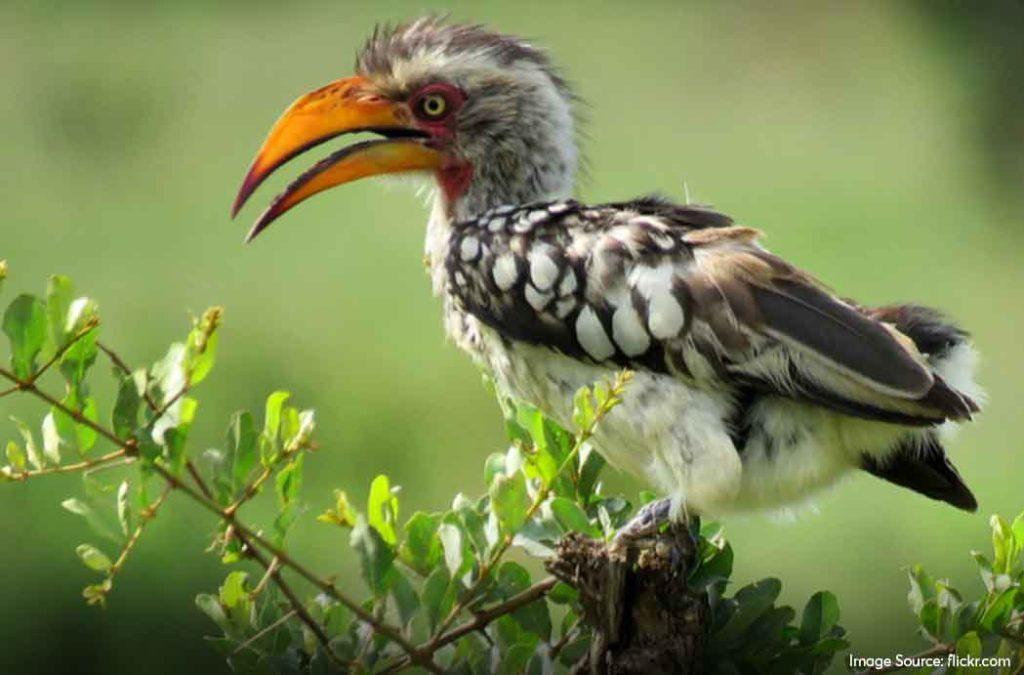 13 Places to Visit in Valparai to Immerse in the Land of Greens ...