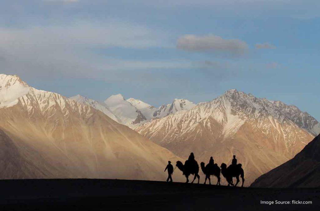 Desert Safari Destinations in India: Bactrian Camels, Yaks to Roaring ...