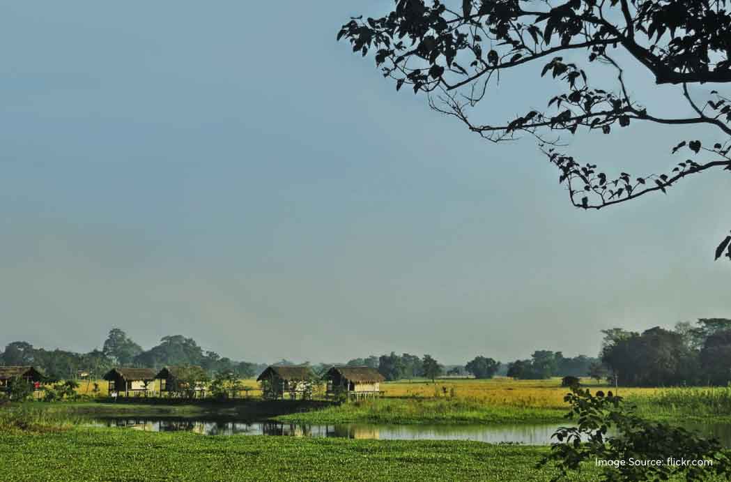Majuli Island: Pack Your Bags Today to Experience The Riverside Reverie ...
