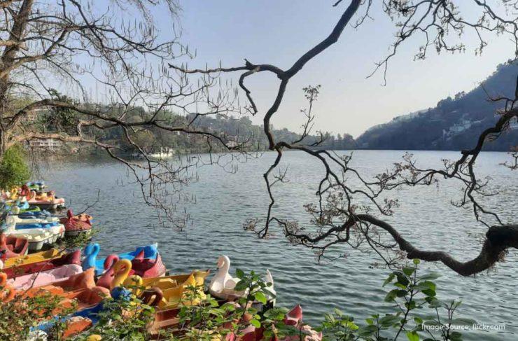 16 Places for Camping in India: Under the Sky and Amidst Forests ...
