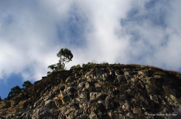 Munnar Tourist Places: Traverse Through the Emerald Trails and Unlock ...