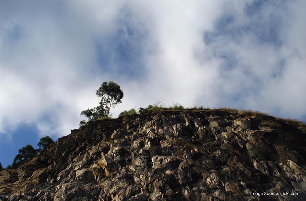 Munnar Tourist Places: Traverse Through the Emerald Trails and Unlock ...