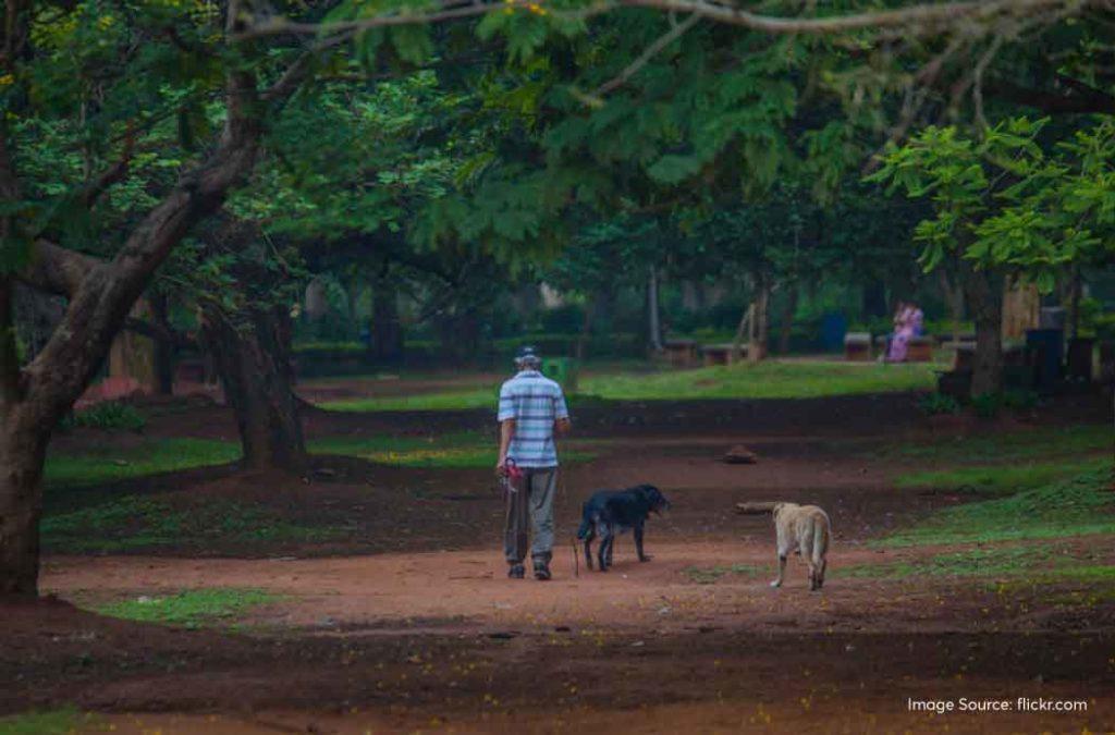Cubbon Park 2024: History, Timings, Latest Updates and More - Treebo Blog