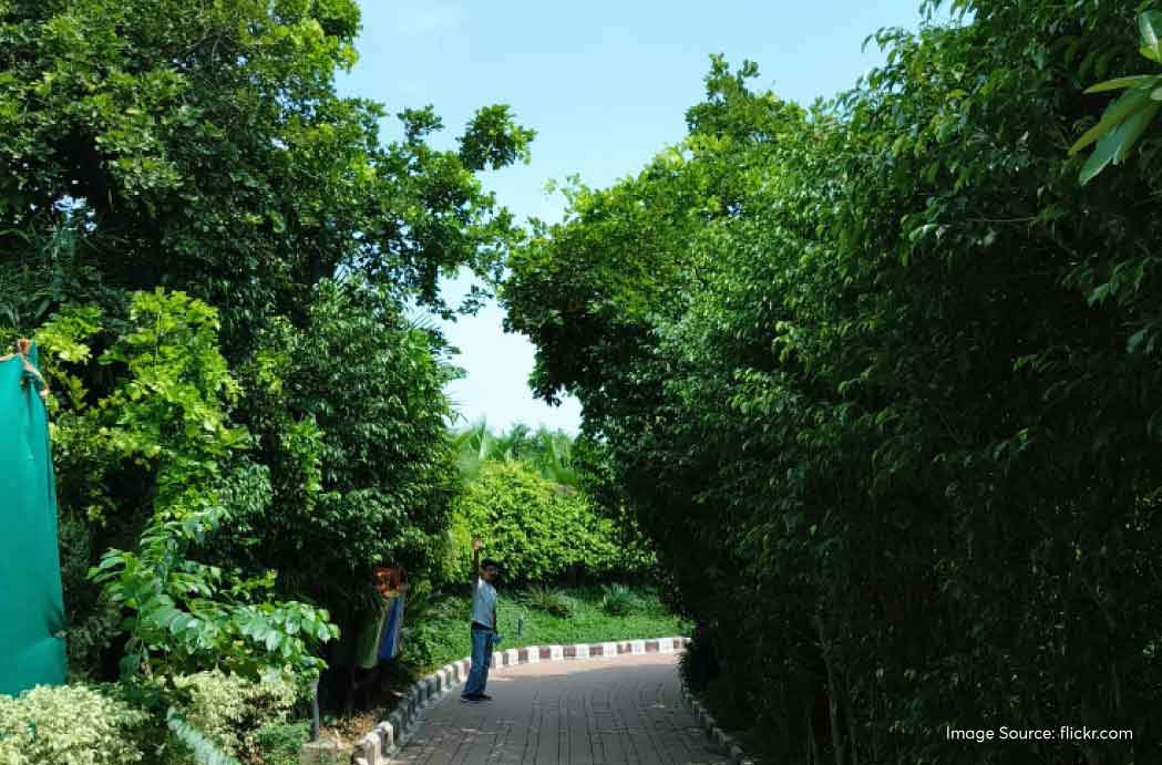 Exploring the Waste to Wonder Park: A Tribute to Sustainability in New ...
