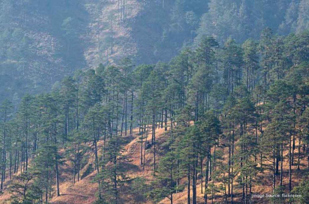 Dong Valley: Explore The Place Where India Awakens to the First Light ...