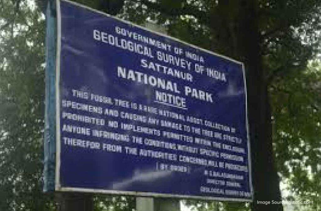 Fossil Parks in India: Majestic Dinosaurs, Mysterious Trees and More ...