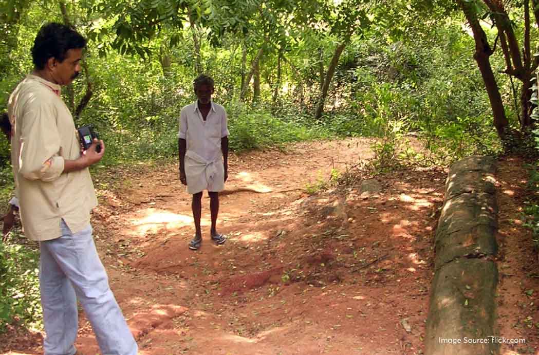 Fossil Parks in India: Majestic Dinosaurs, Mysterious Trees and More ...