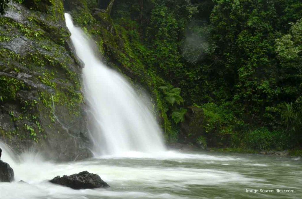 Agumbe Village: The Rainiest South Indian Gem That Inspired The Malgudi ...