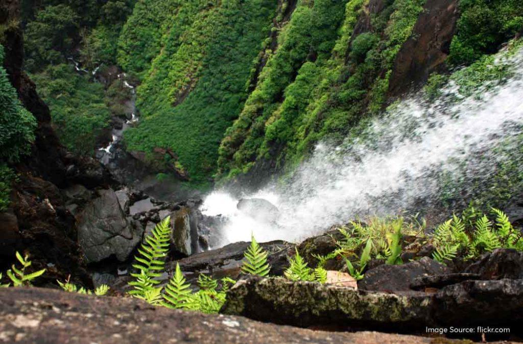 Agumbe Village: The Rainiest South Indian Gem That Inspired The Malgudi ...