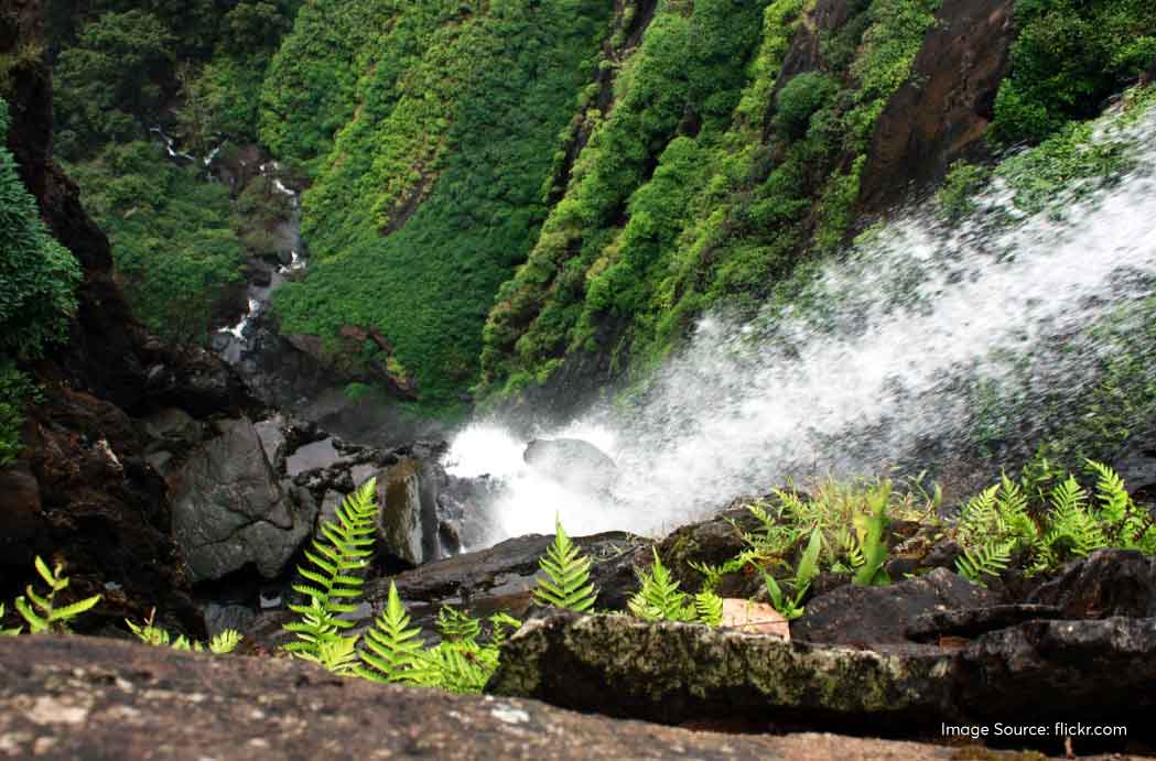 Agumbe Village: The Rainiest South Indian Gem That Inspired The Malgudi ...