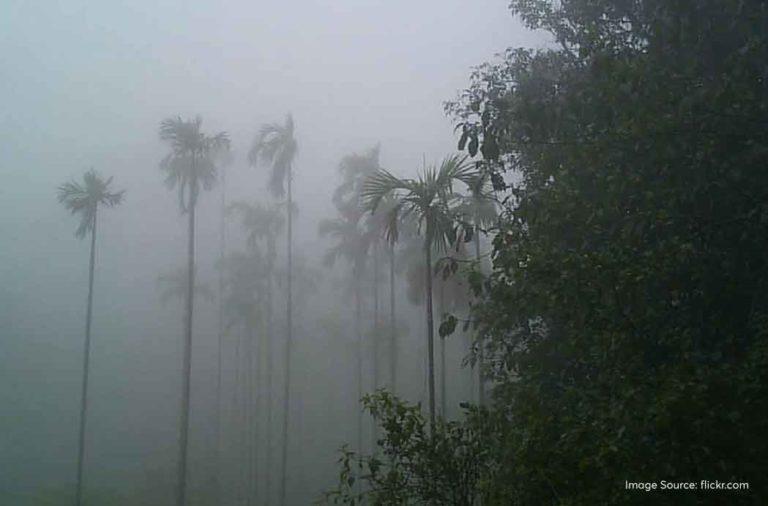 Agumbe Village: The Rainiest South Indian Gem That Inspired The Malgudi ...