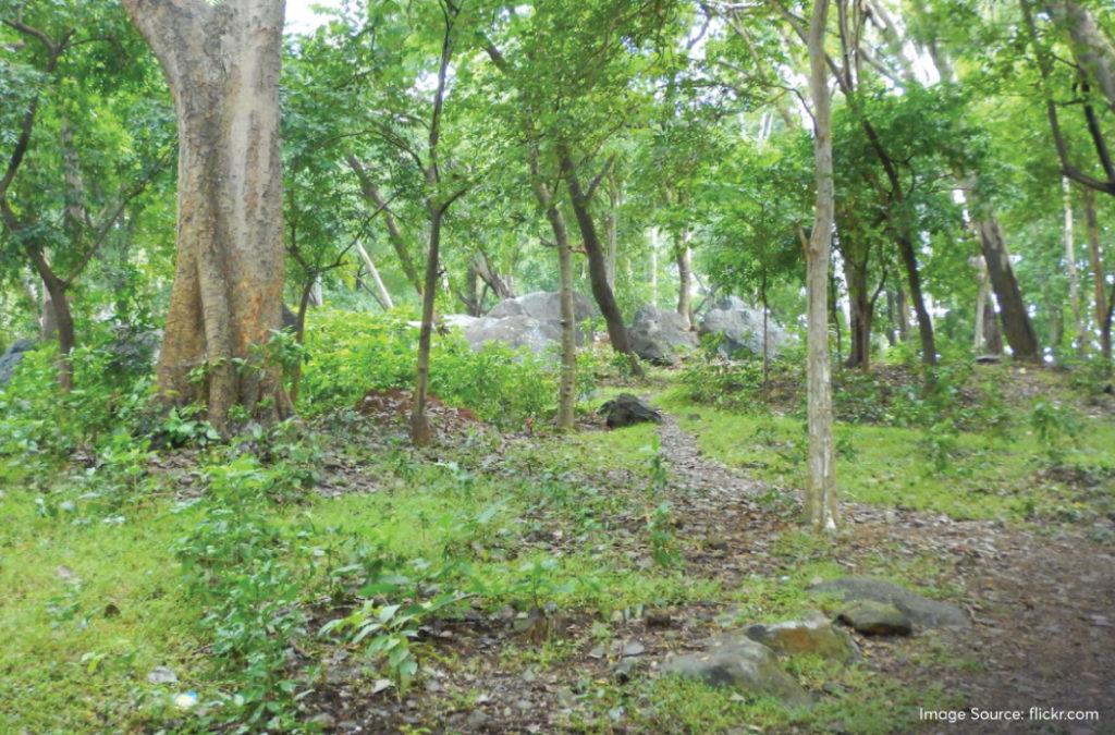 Places to Visit in Asansol: Historic Gems to Spiritual Lands - Treebo Blog