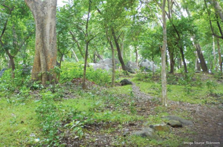 Places to Visit in Asansol: Historic Gems to Spiritual Lands - Treebo Blog