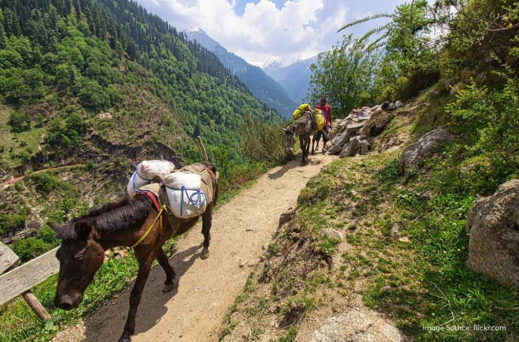 Tosh Village: Perfect Place To Witness The Beauty Of The Himalayan ...