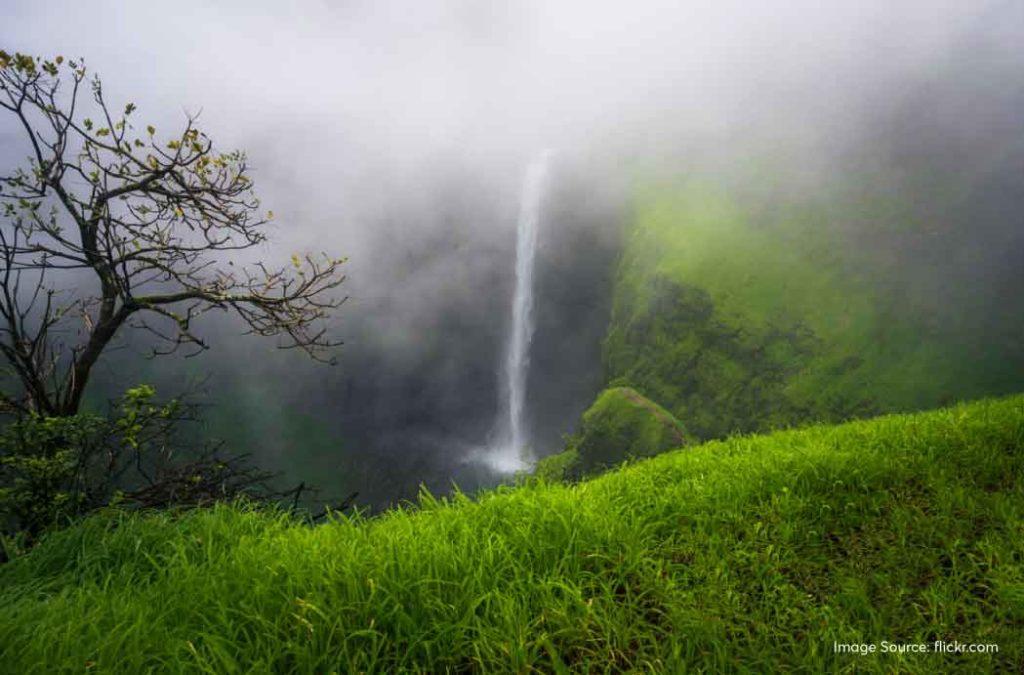 Waterfalls in Maharashtra: 30 Cascading Beauties Worth a Watch ...