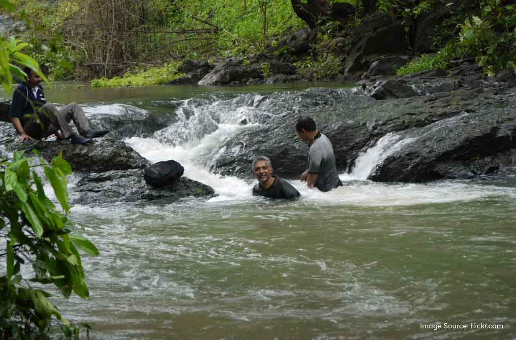 Waterfalls in Maharashtra: 30 Cascading Beauties Worth a Watch ...