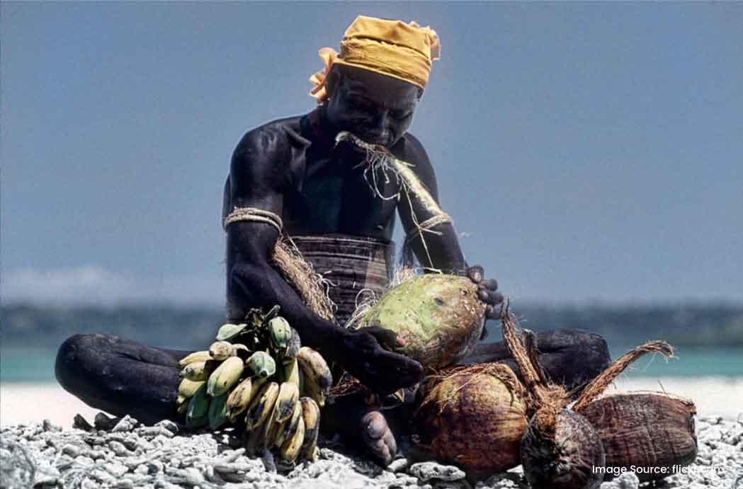 Tribes of India: Witnessing Lives of Forested and Hilly Communities ...