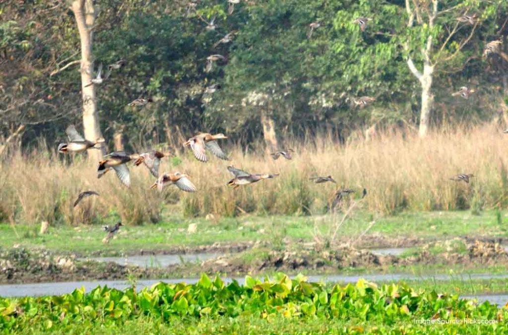 Mayong Village: Reality of the Black Magic Capital of India - Treebo Blog
