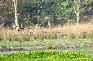 Mayong Village: Reality of the Black Magic Capital of India - Treebo Blog