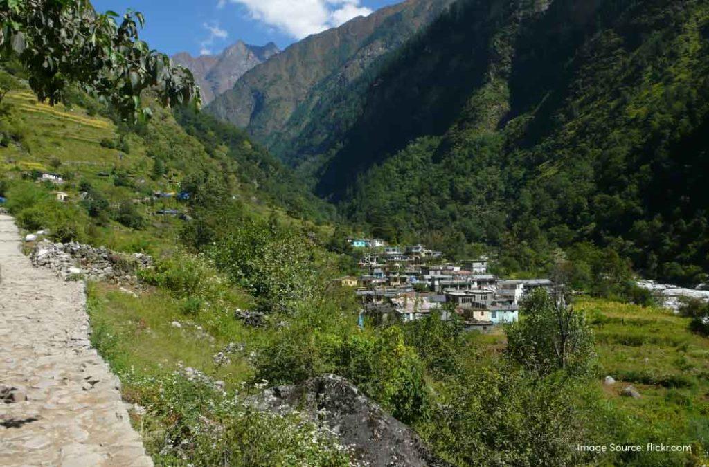 Valley of Flowers Trek: Venturing through the Wildflowers - Treebo Blog