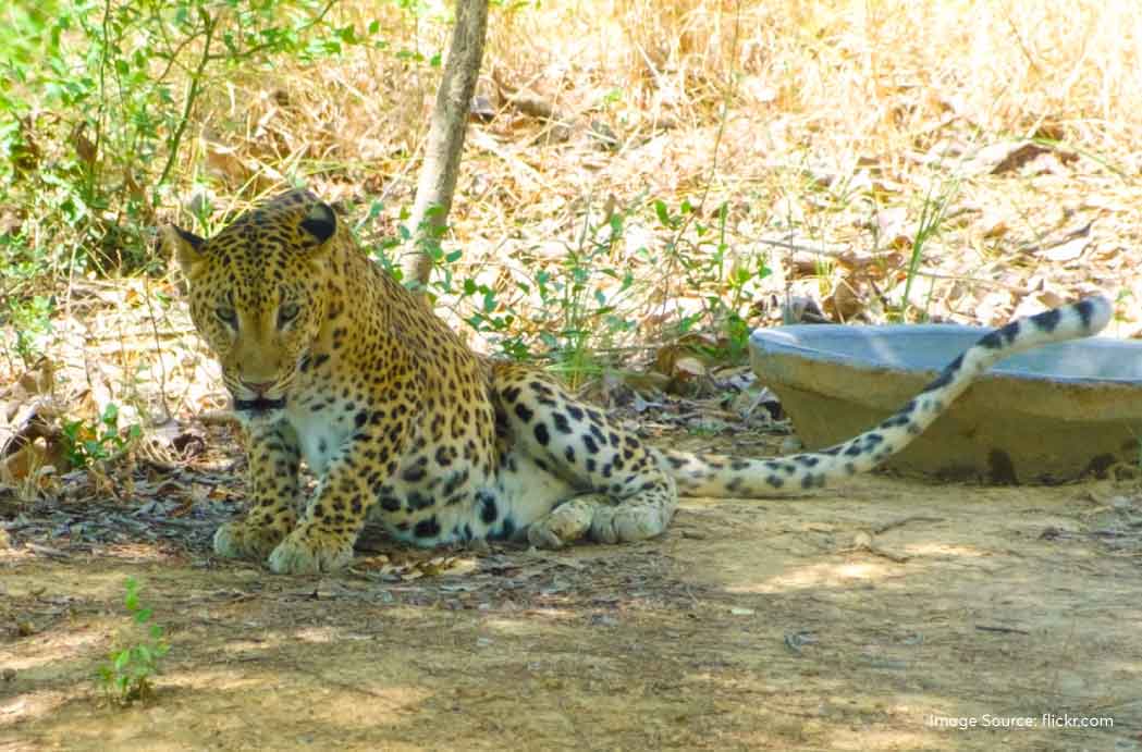 Places to Visit in Rajgir: Caving through Sacred and Historic Sites ...