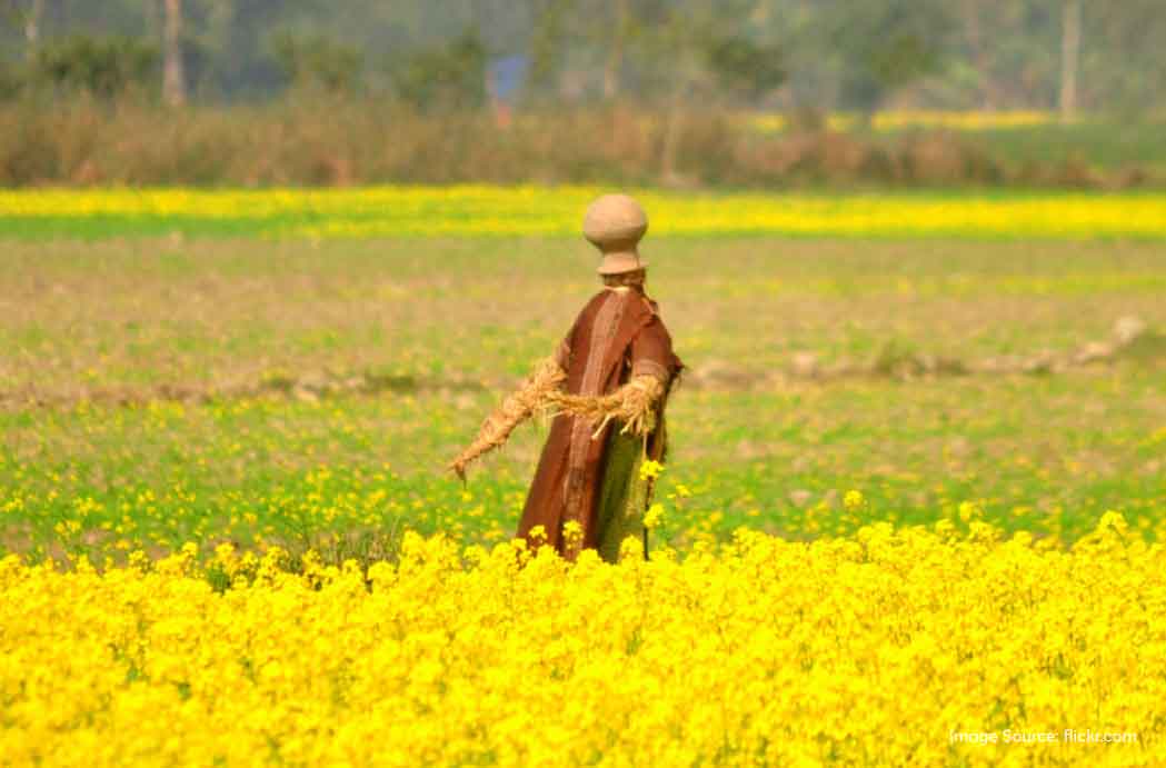 Mayong Village: Reality of the Black Magic Capital of India - Treebo Blog