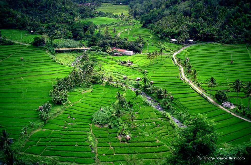 Mayong Village: Reality of the Black Magic Capital of India - Treebo Blog
