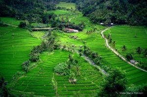 Mayong Village: Reality of the Black Magic Capital of India - Treebo Blog