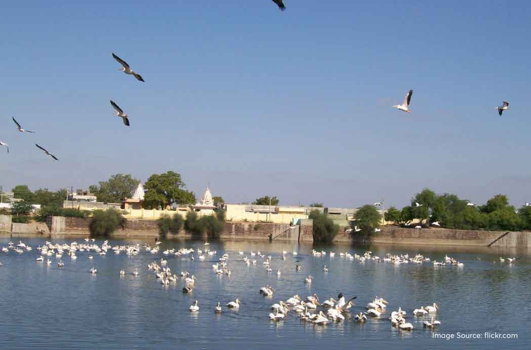 20 Places to Visit in Gujarat: From UNESCO Heritage Sites to Wildlife ...