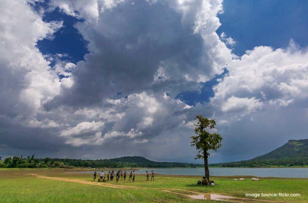 Places to visit in Coorg in Winters: Coffee Plantations, Elephant Camps ...