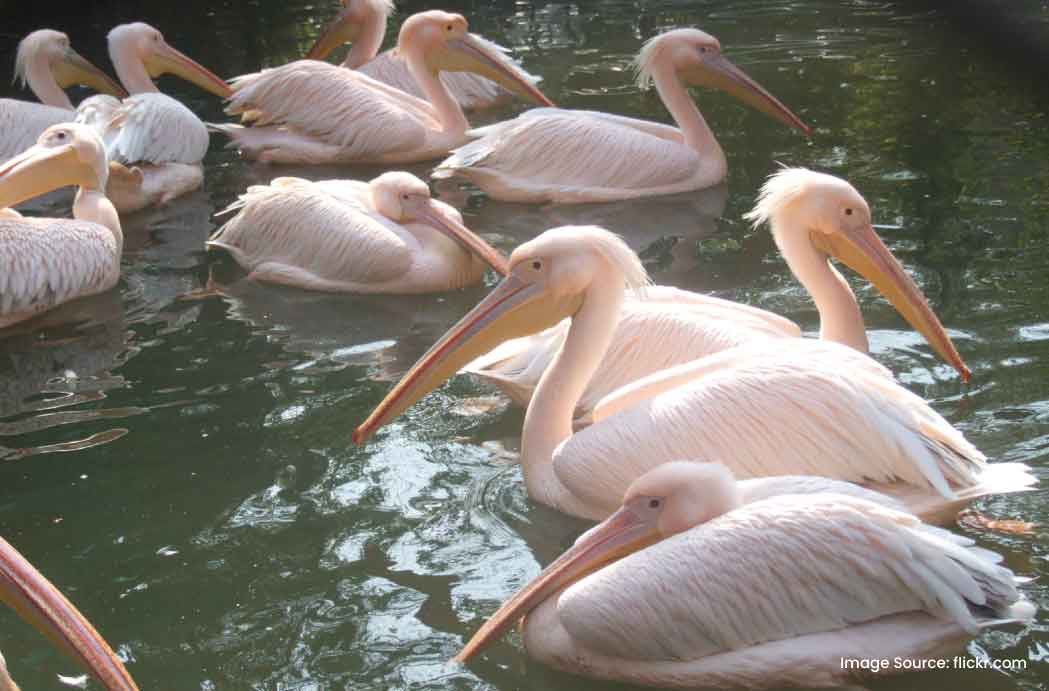 Famous Places to Visit in Chhattisgarh: Waterfalls to Shakti Peeths ...