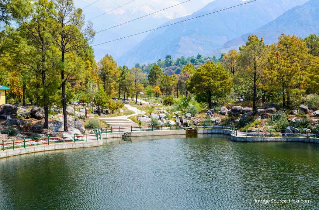 15 Idyllic Places To Visit in Palampur for Perfect Himalayan Retreat