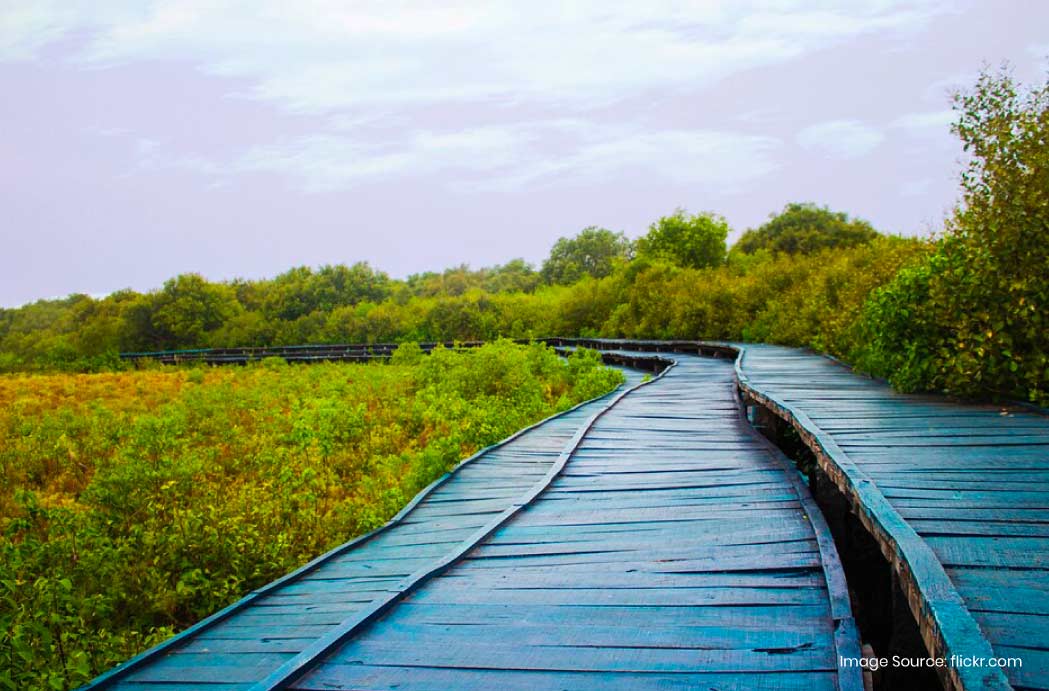 11 Places To Visit in Kakinada: A Journey Where Time Stands Still