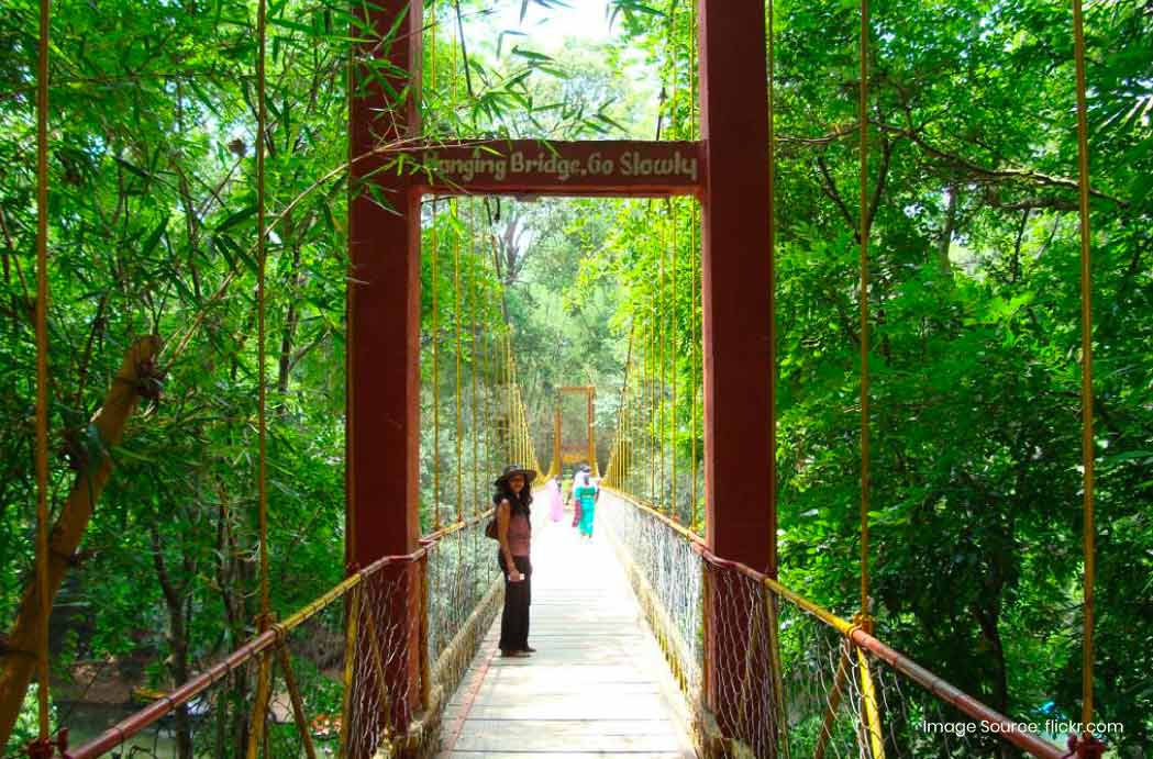 Places To Visit in Kushalnagar: Coorg’s Quiet Gem of Beauty