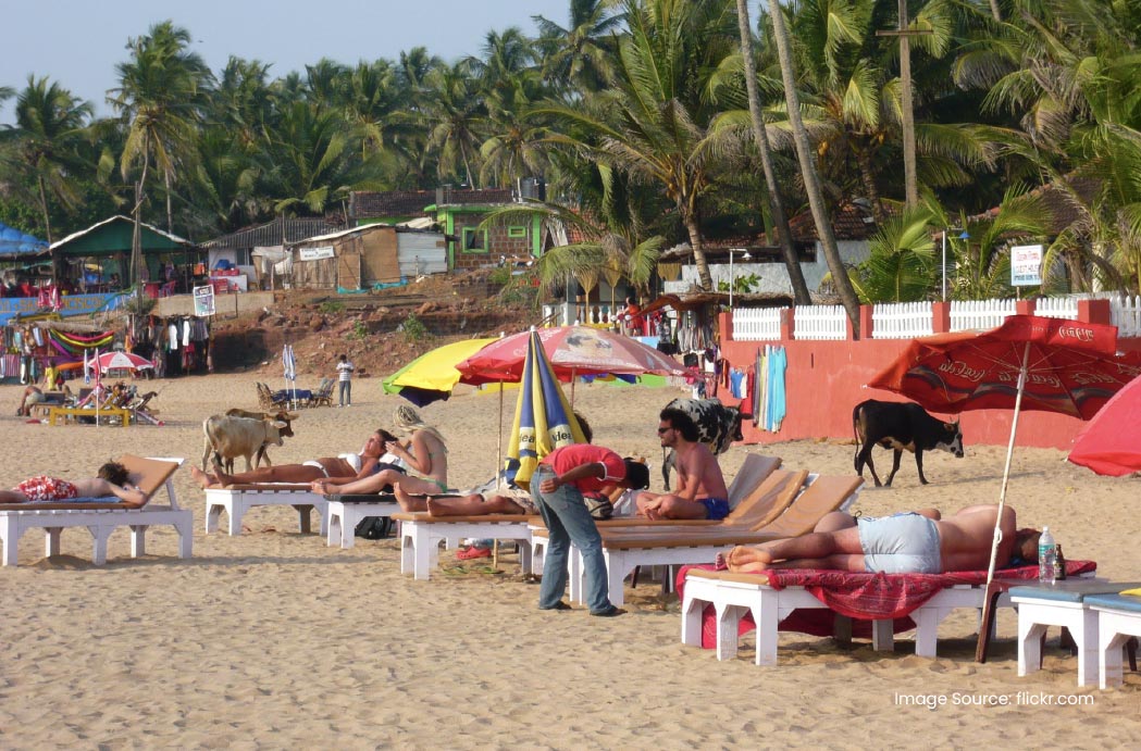 Anjuna Beach: The Art of Slow and Soulful Travelling